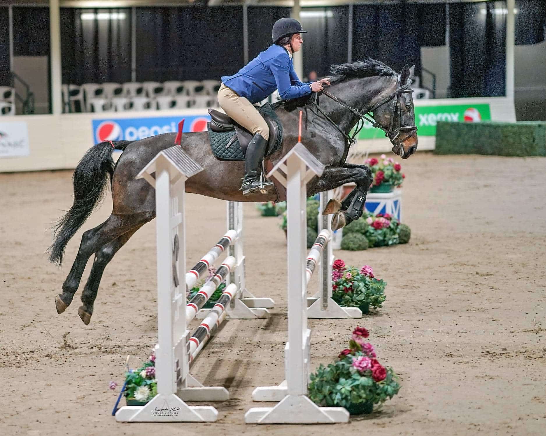 Equestrian Performance and Innovation Centre | EPIC Stables